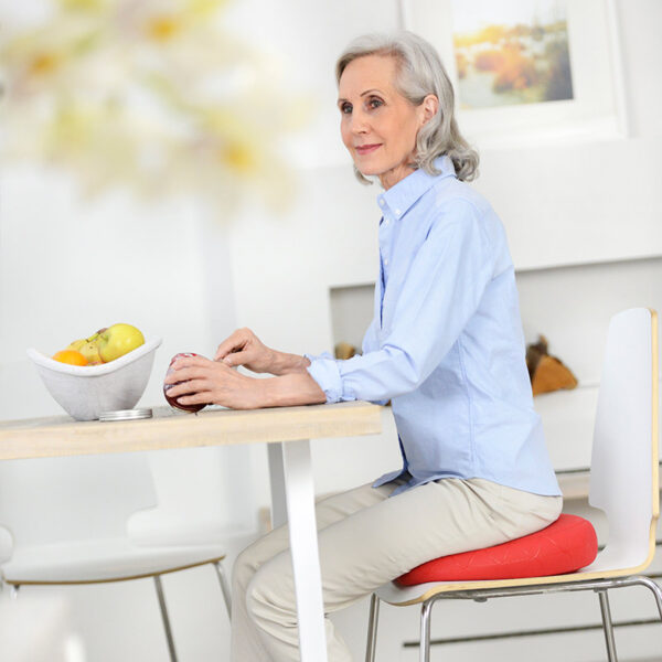 Cojín ergonómico SISSEL® SITFIT® PLUS - Ludga Perú